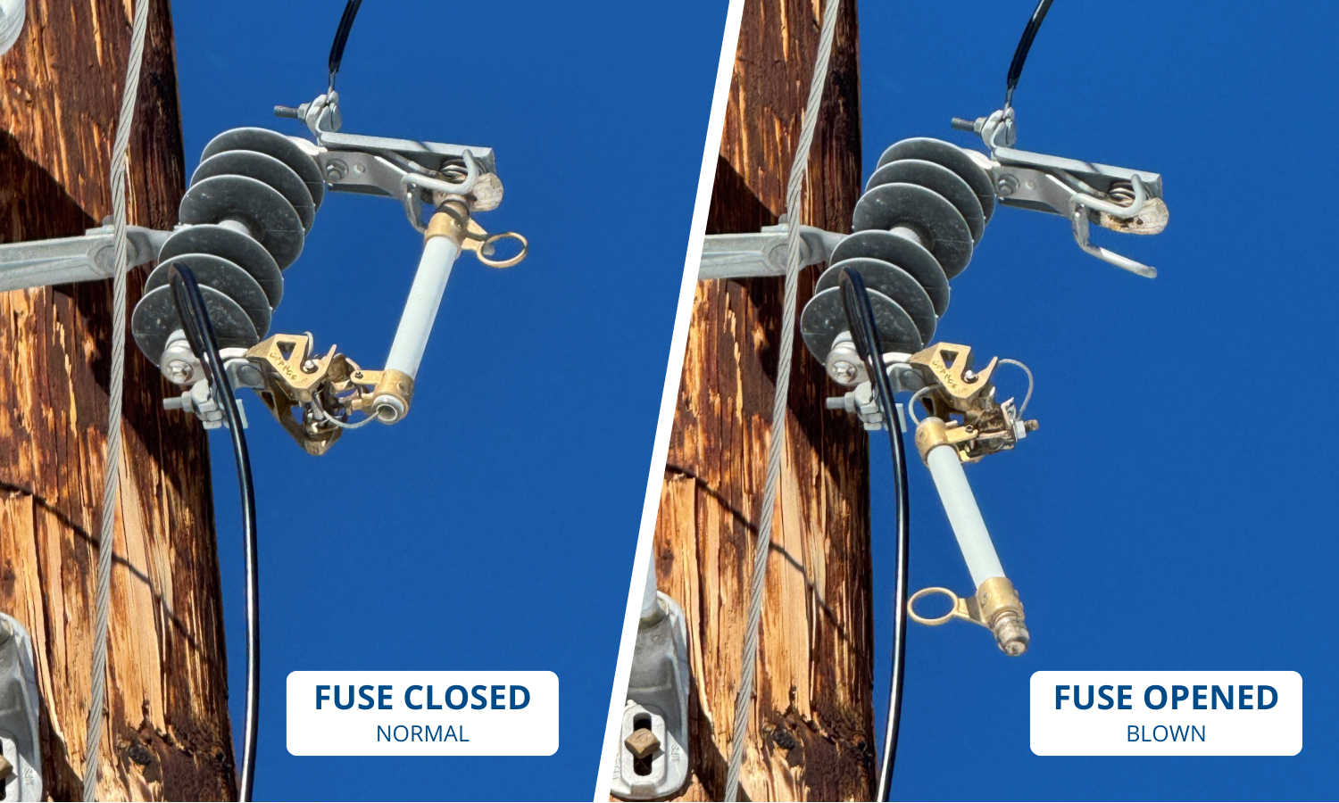 What was that Noise? | BTES